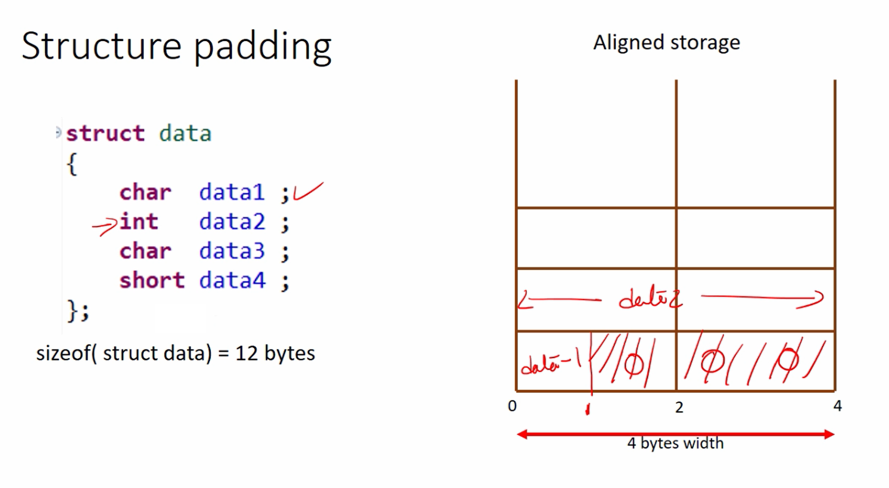 Structure Size Calculation: With and Without Padding