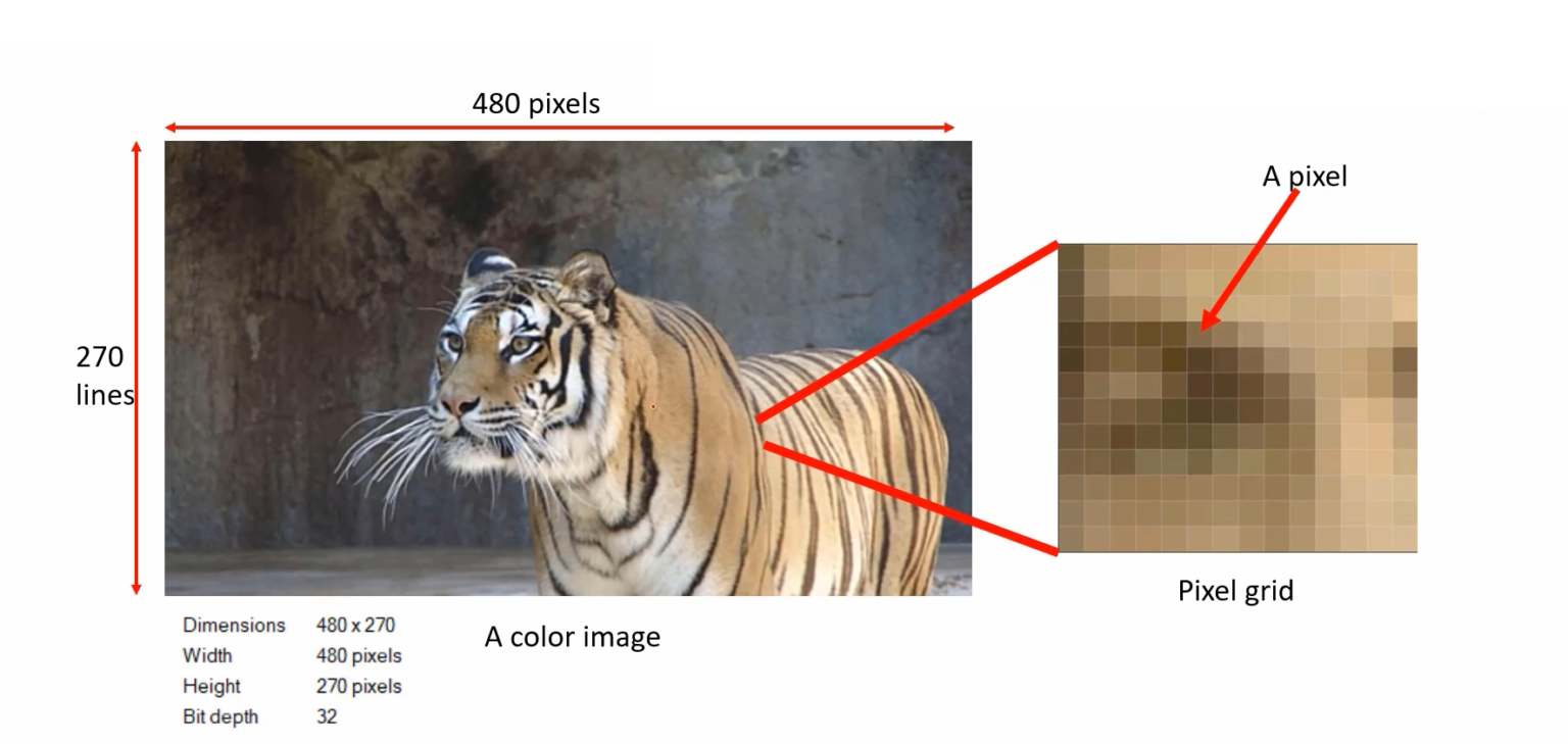 RGB Display: From Pixels to Colors - A Comprehensive Guide